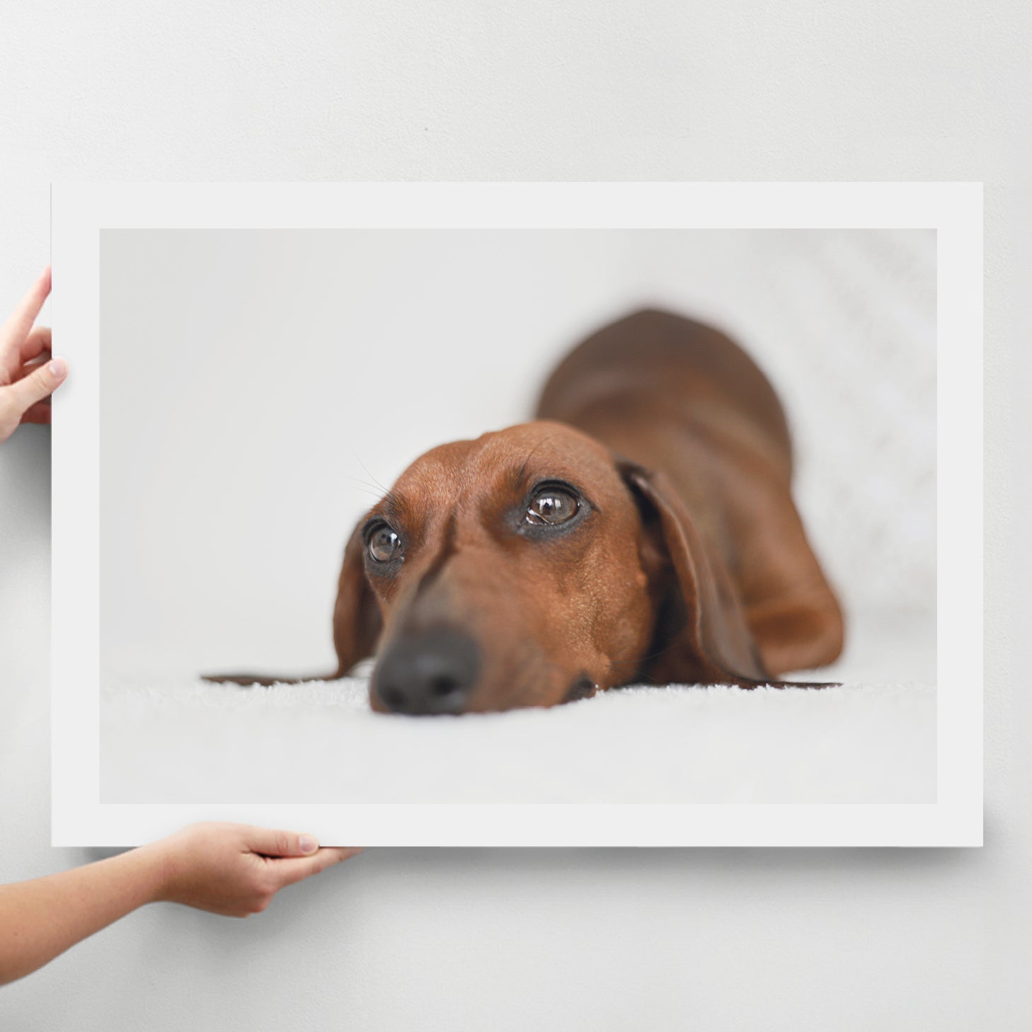 Custom Photo Posters | Personalised Wall Art by Popic
